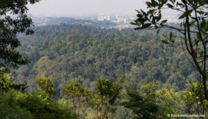 Hike at Taman Botani Negara Shah Alam - Rainforest Journal
